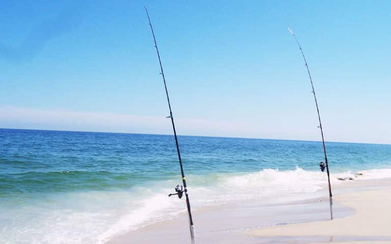 How to Pick the Right Surf Fishing Rod for You – A Must Read Guide ...
