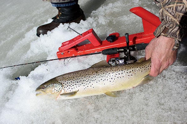 How to Ice Fish for Brown Trout - Fishing Form