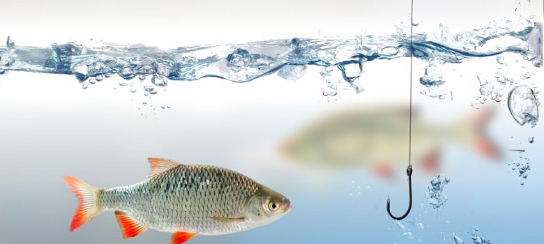 Does Music Scare Fish Away? - Fishing Form