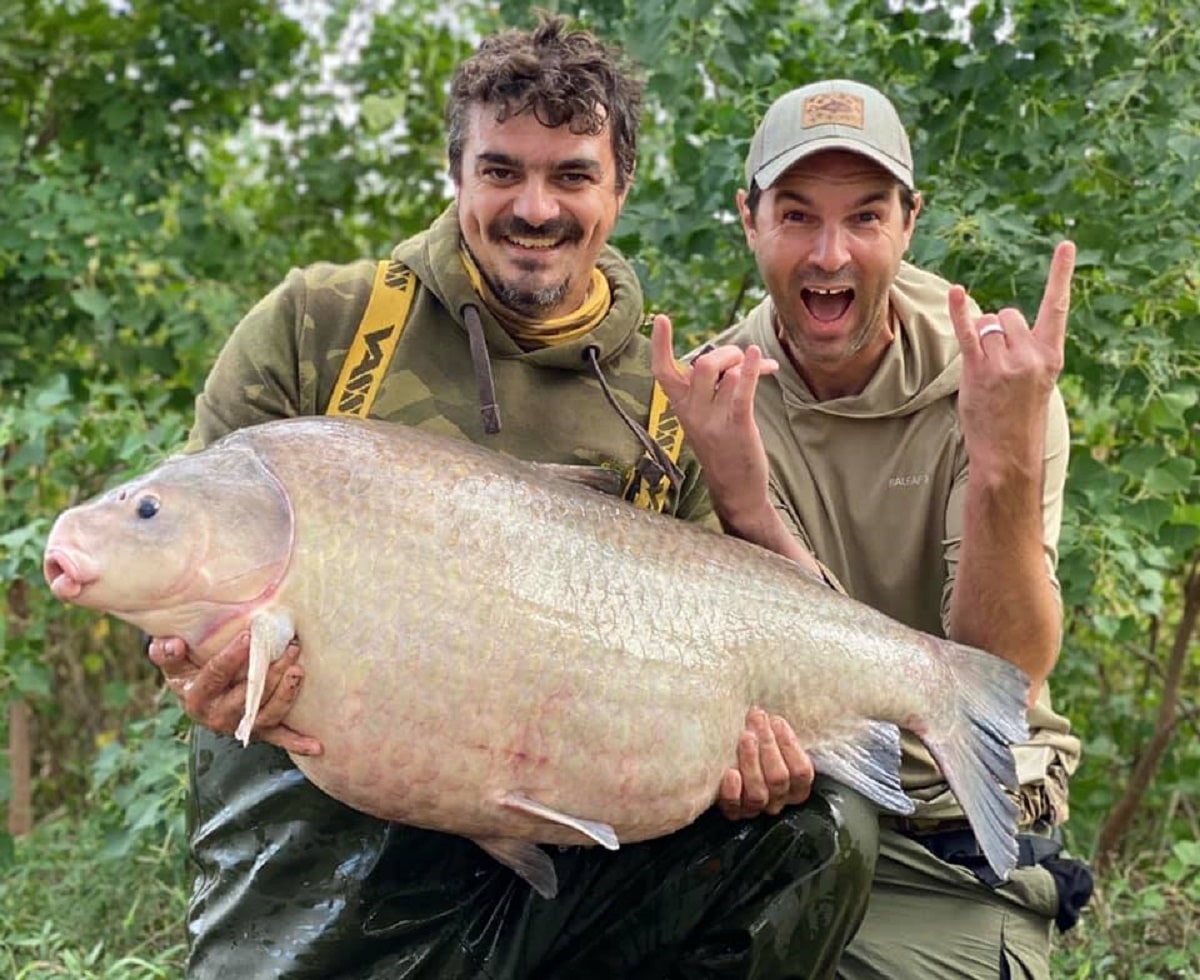 How to Catch Buffalo Fish? - Fishing Form How to Catch Buffalo Fish? - Fishing Form