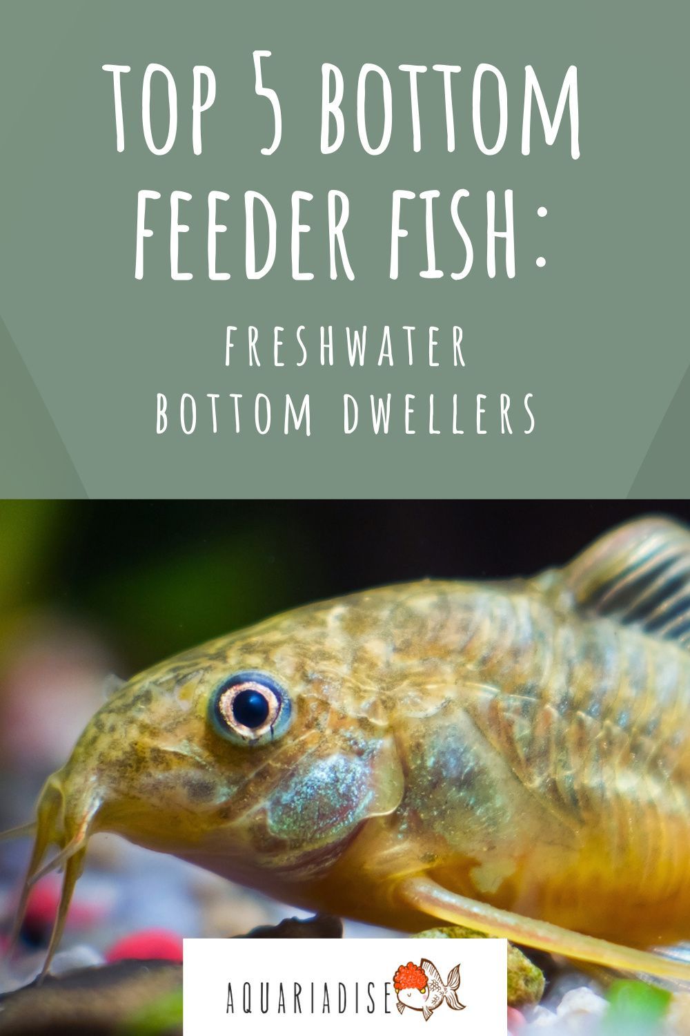 How to Fish from Top to Bottom - Fishing Form